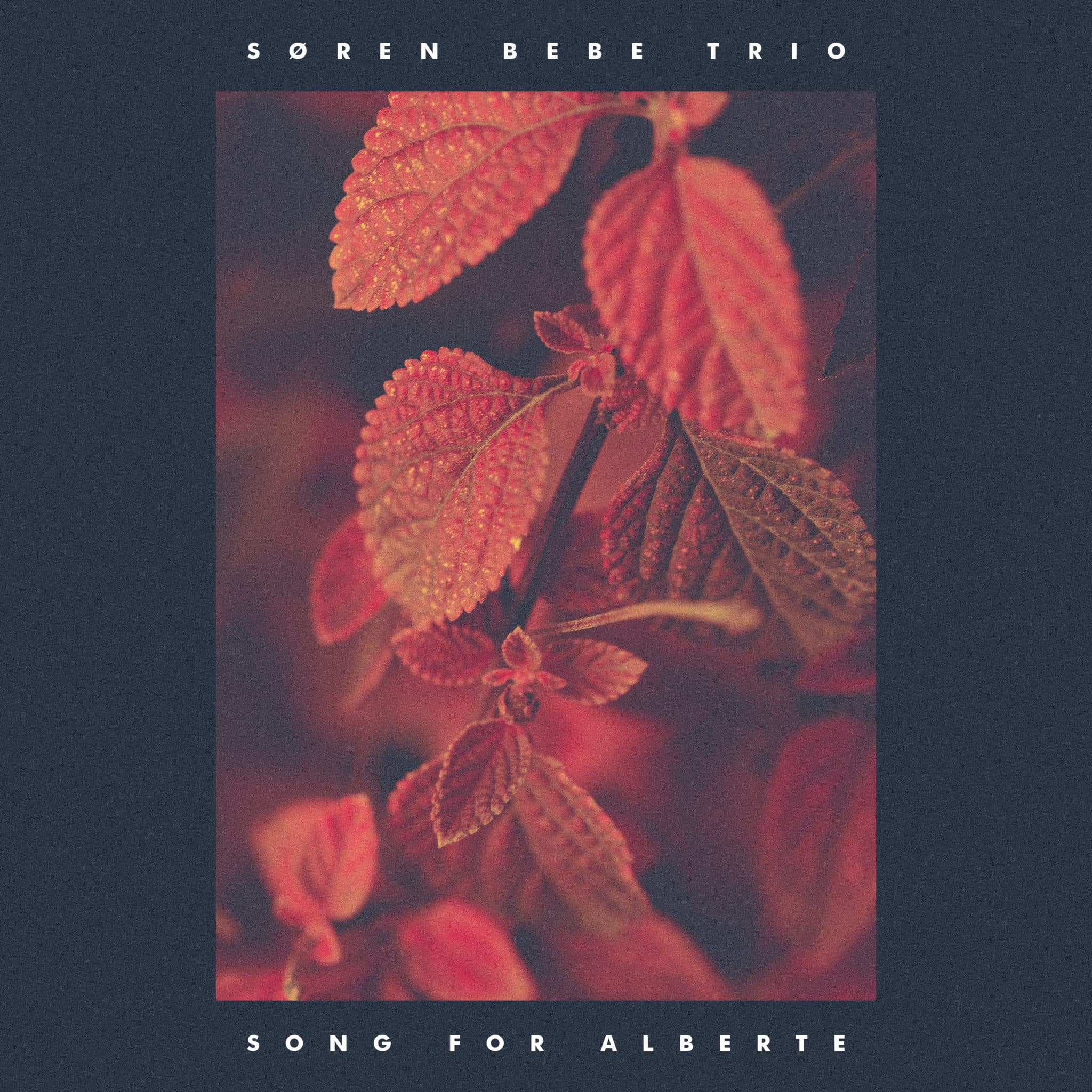 Song for Alberte by Søren Bebe Trio